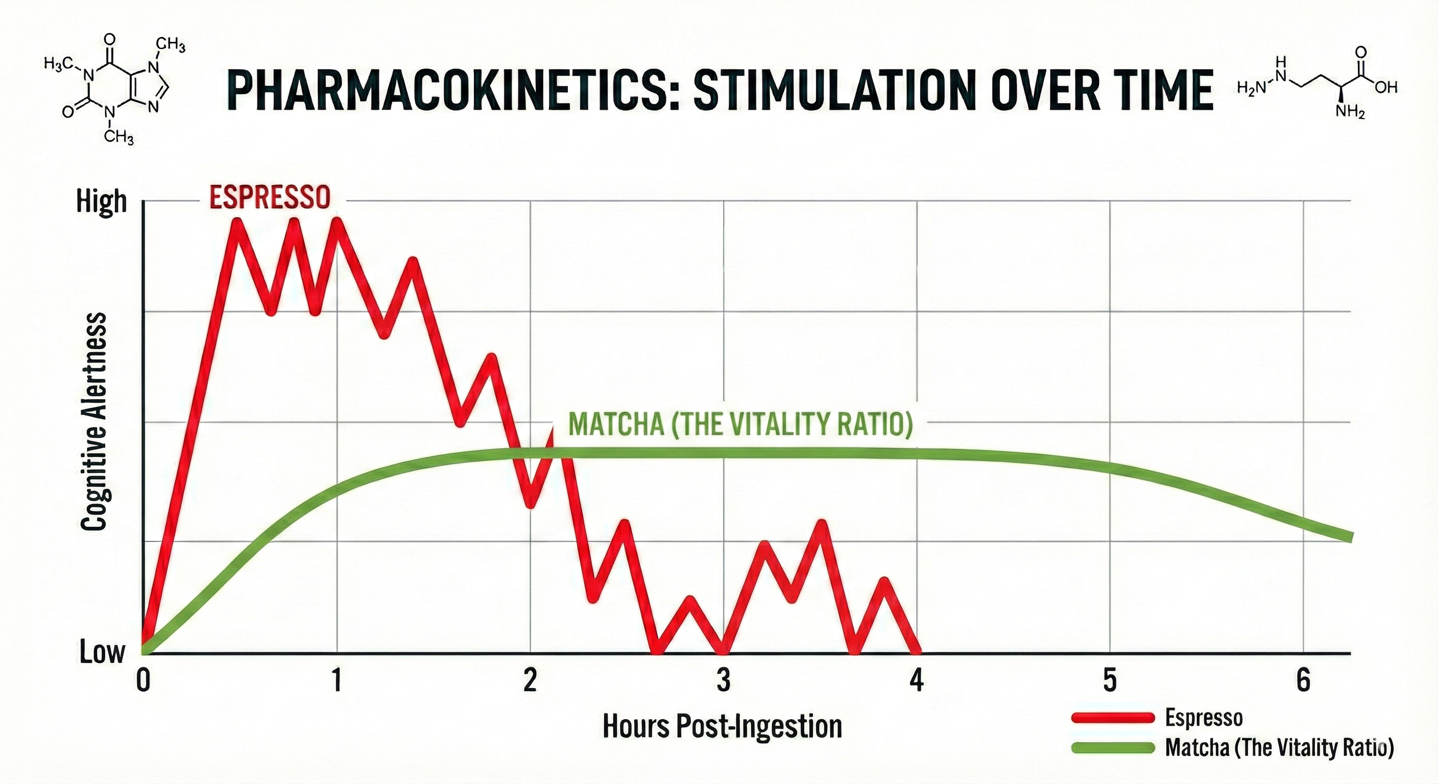 Matcha – tagged "Productivity" – Coffee Analytica